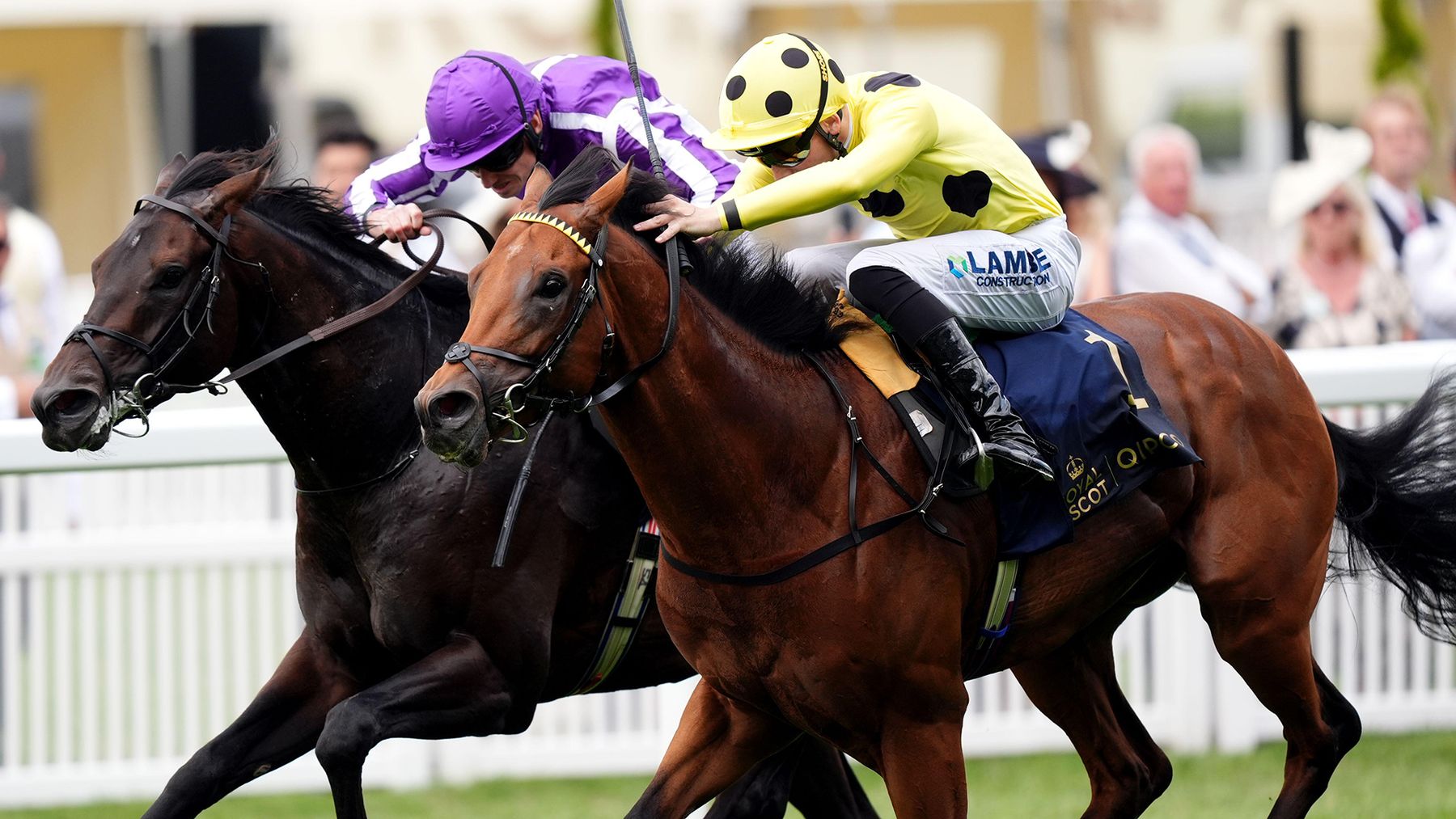 Trackside Live from Royal Ascot: parade ring updates and selections