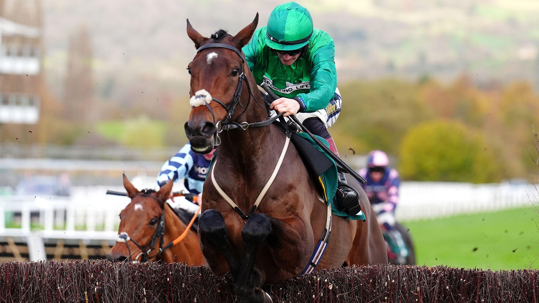 Northern racing: Lewis Tomlinson with his horses to follow