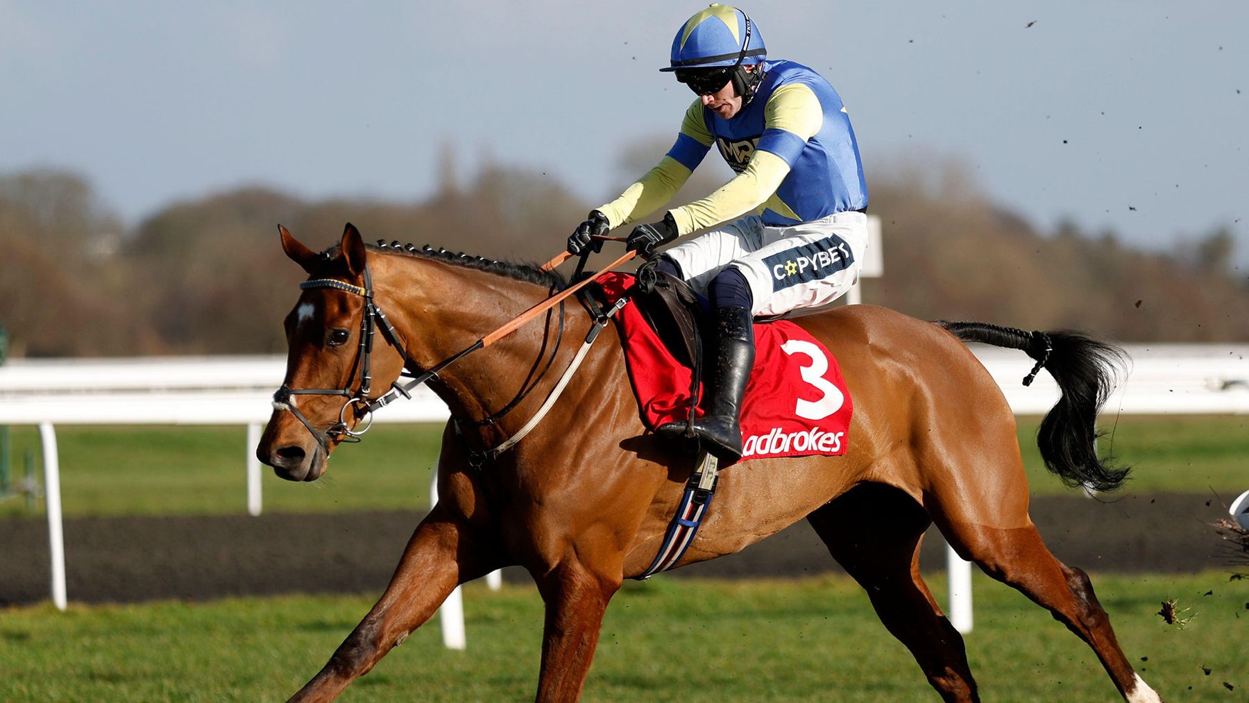 Cheltenham Festival news: Tripoli Flyer in Sky Bet Supreme picture ...