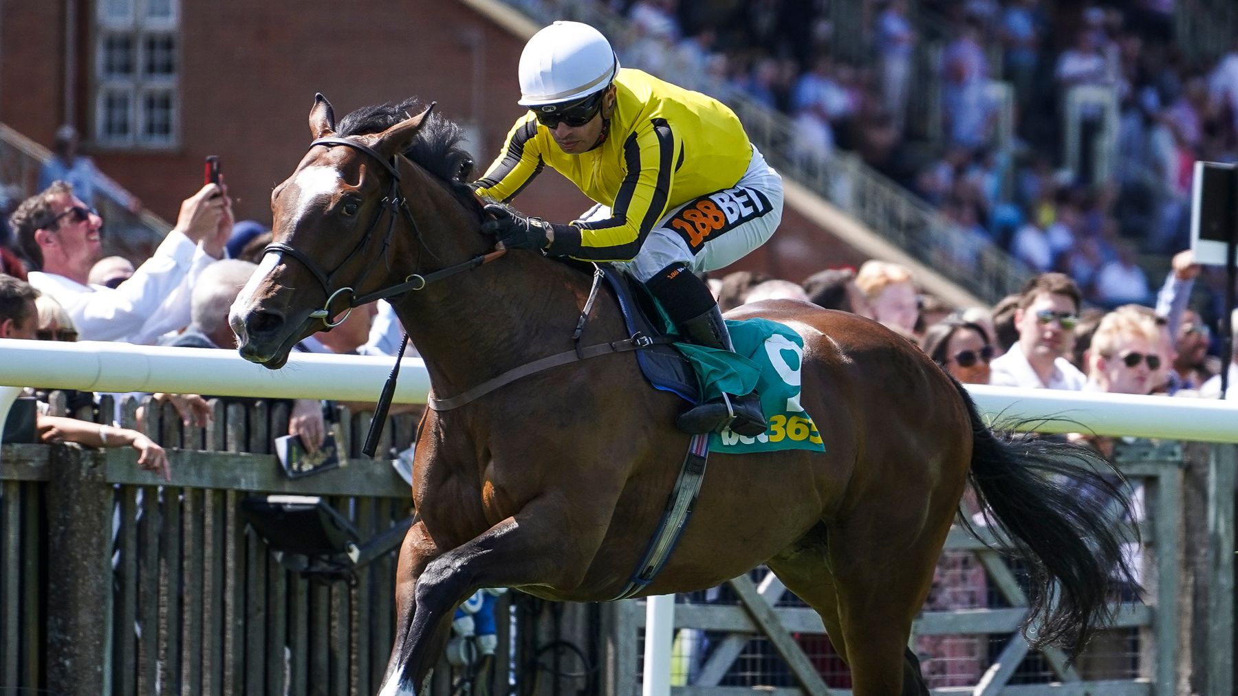 Dan Briden Two-Year-Old Guide: James Owen