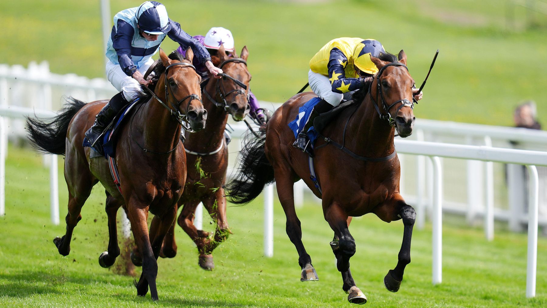 Epsom review and free video replays: Scout's honour in Blue Riband trial