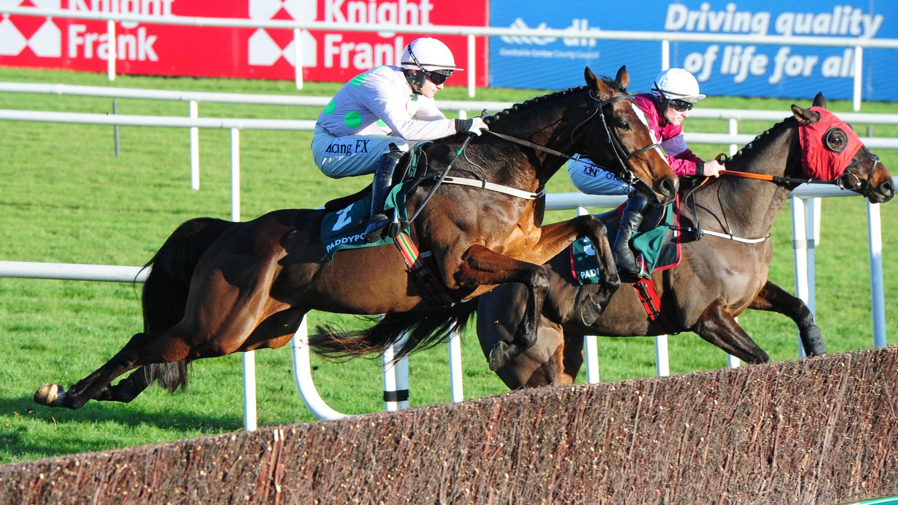 Full video archive for Irish racing back on sportinglife.com