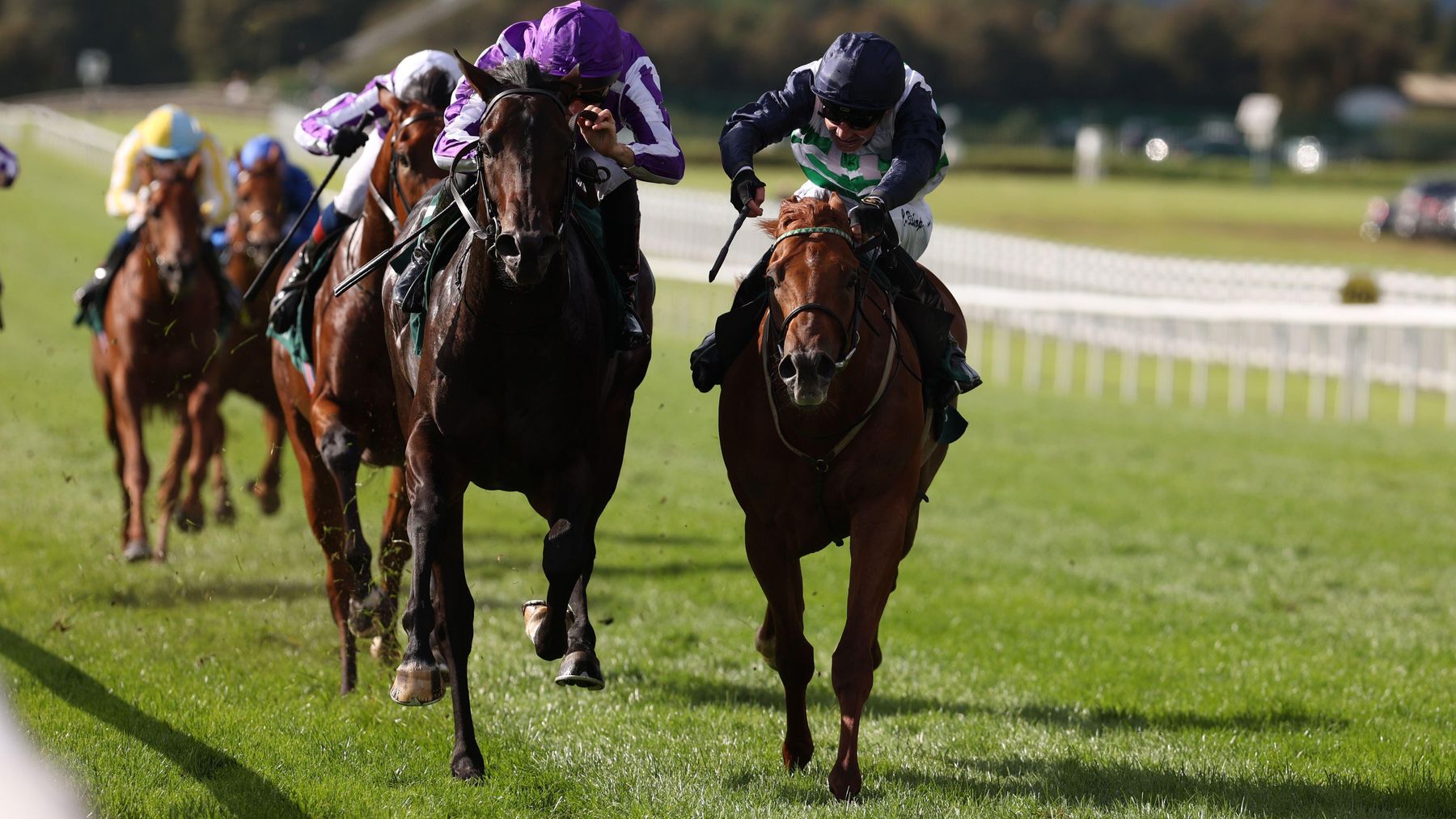 Irish Champions Festival reaction: Graham Cunningham on Sunday action