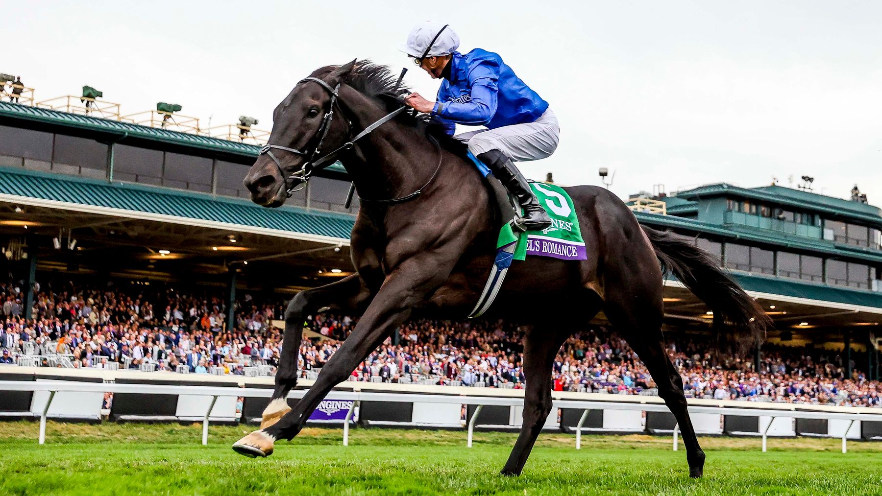 Versatility key to Dubawi landing his first sire's championship in 2022