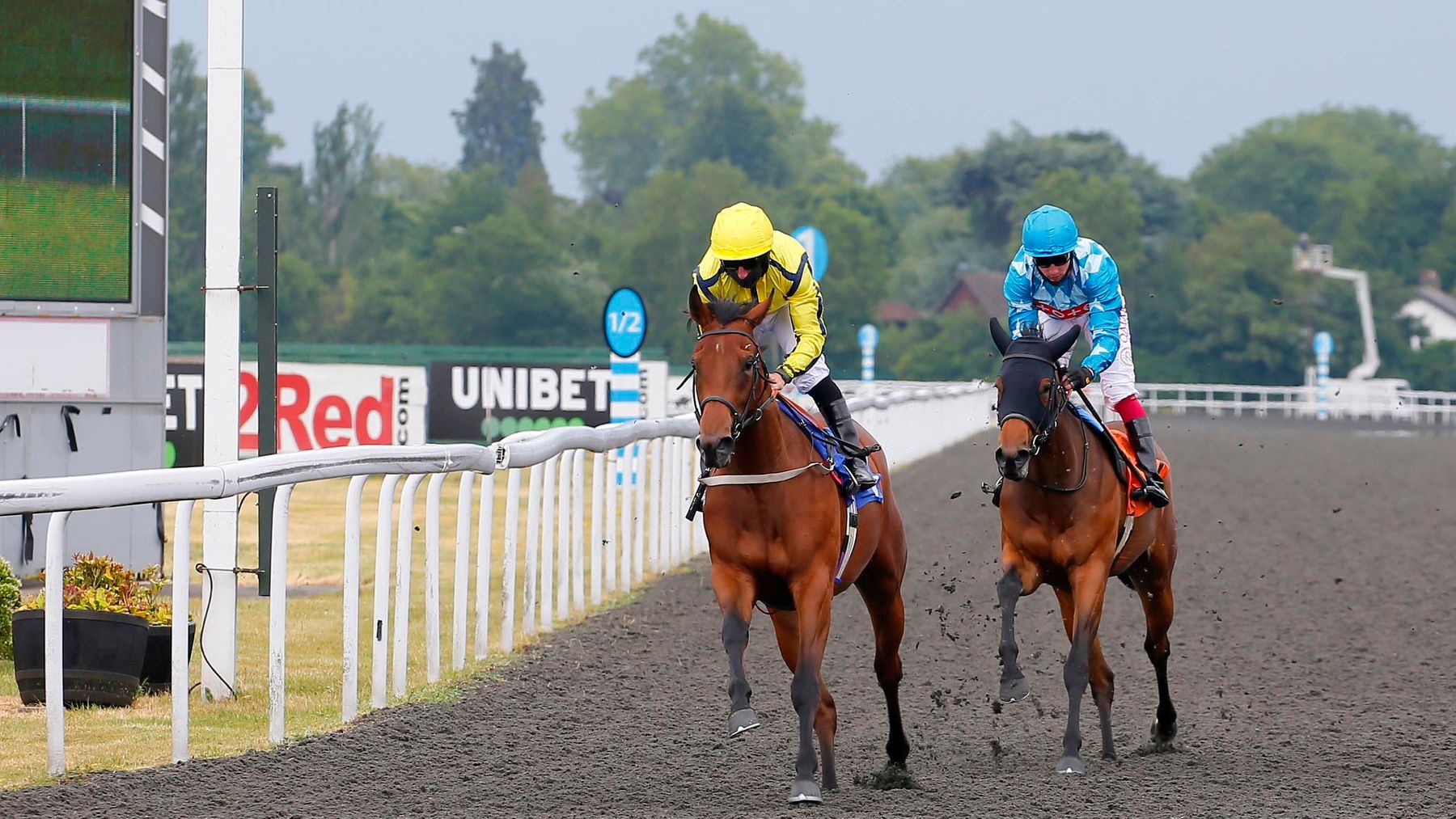 Live Stream picture perfect for James Tate at Kempton