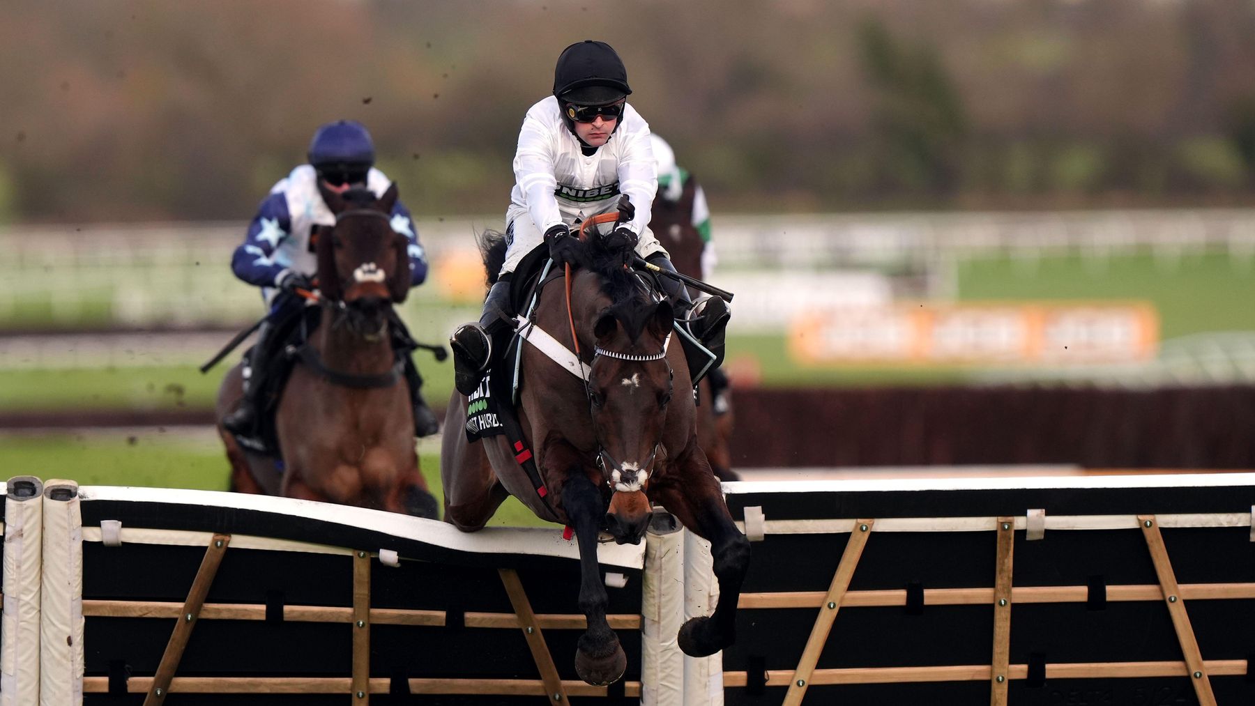 Constitution Hill returns for Aintree Hurdle following Champion Hurdle fall
