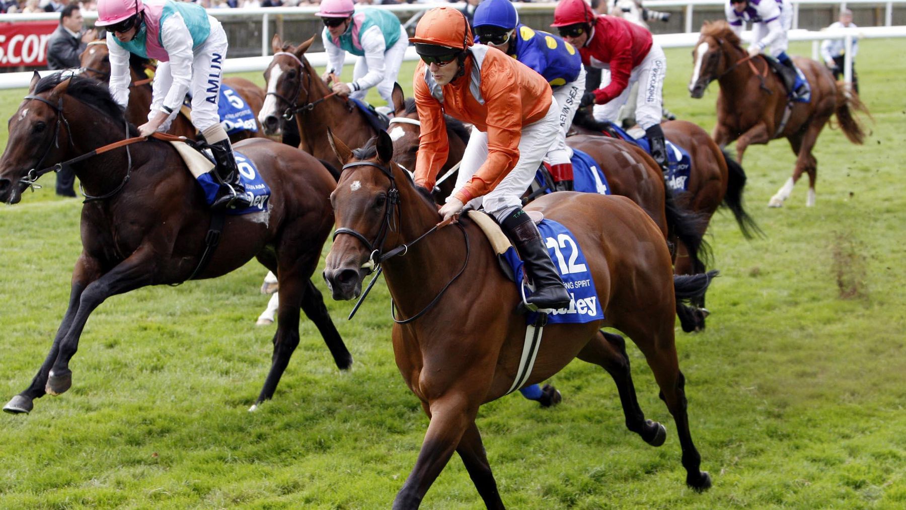 Dan Briden Two-Year-Old Guide: George Boughey