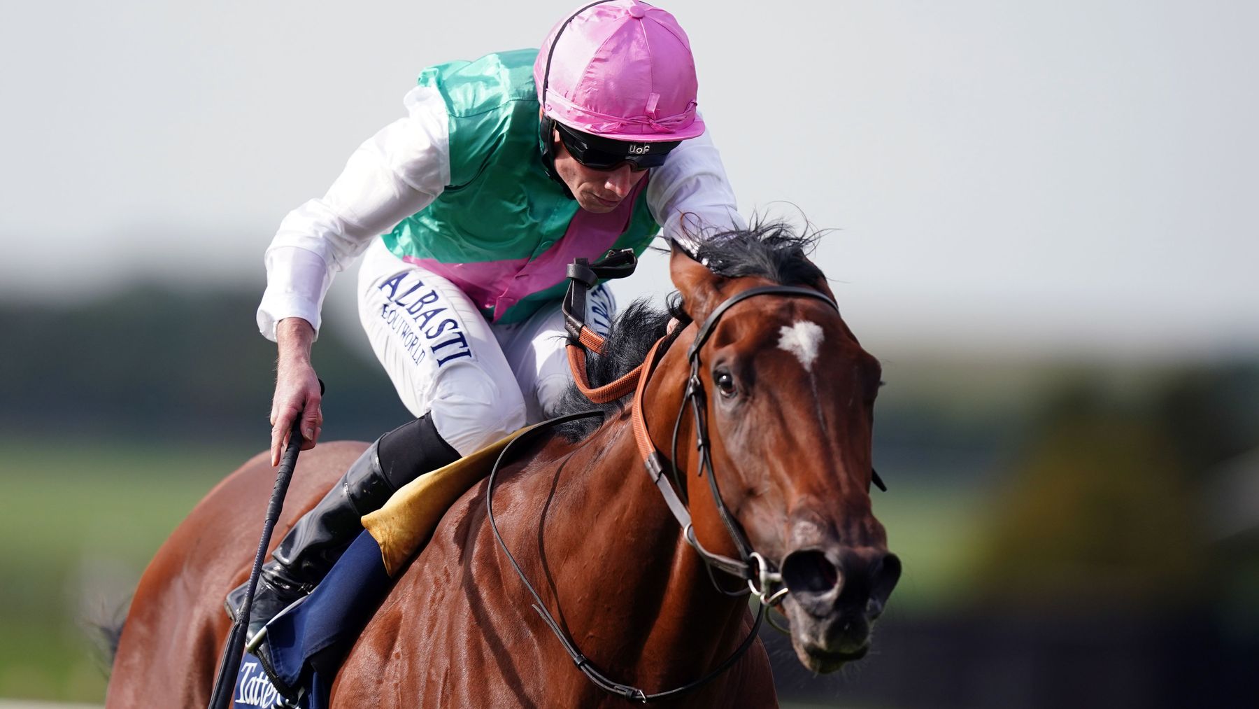 Saturday racing preview: David Ord on the domestic action