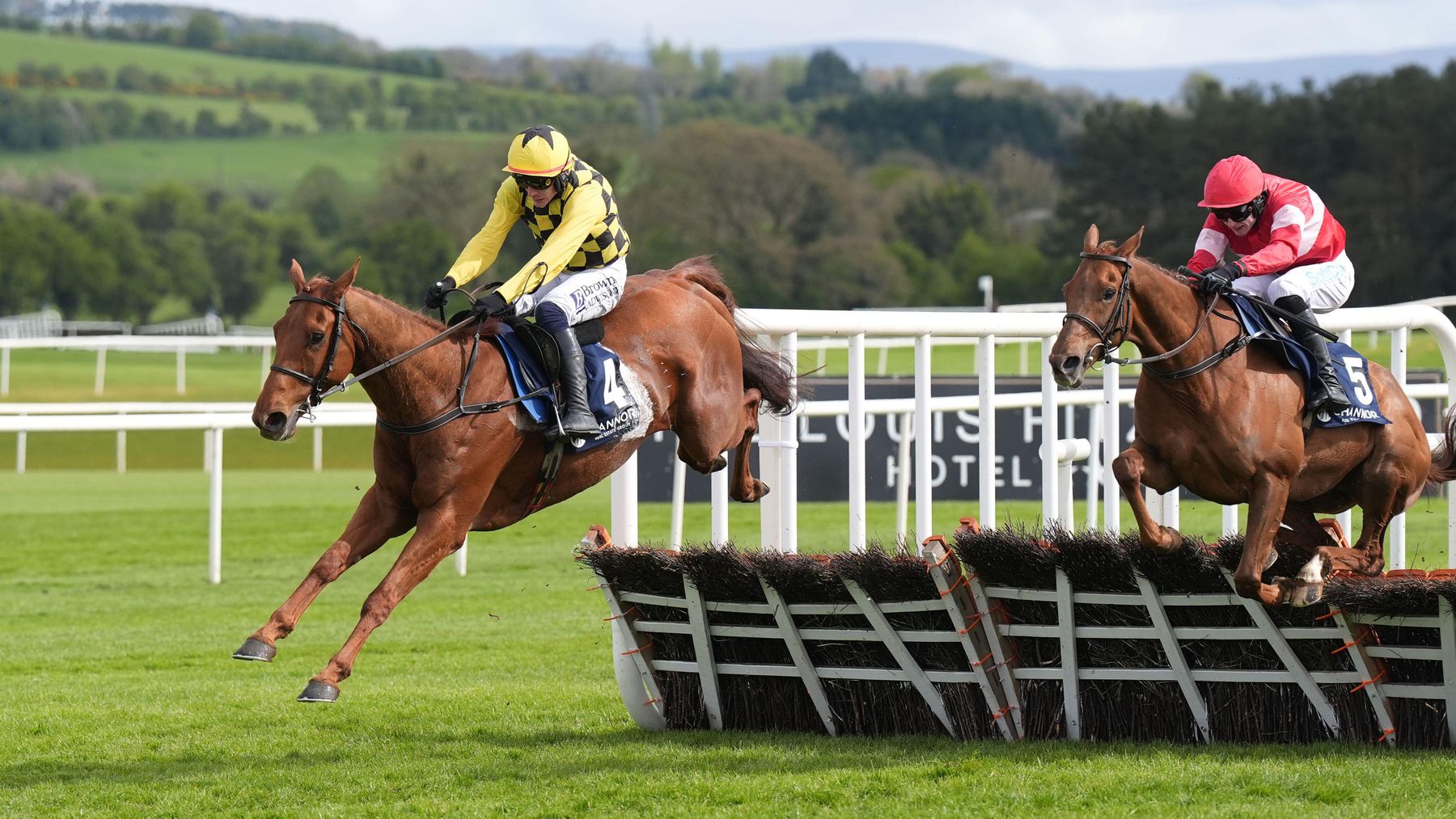 Alex Hammond Cheltenham Festival Tips