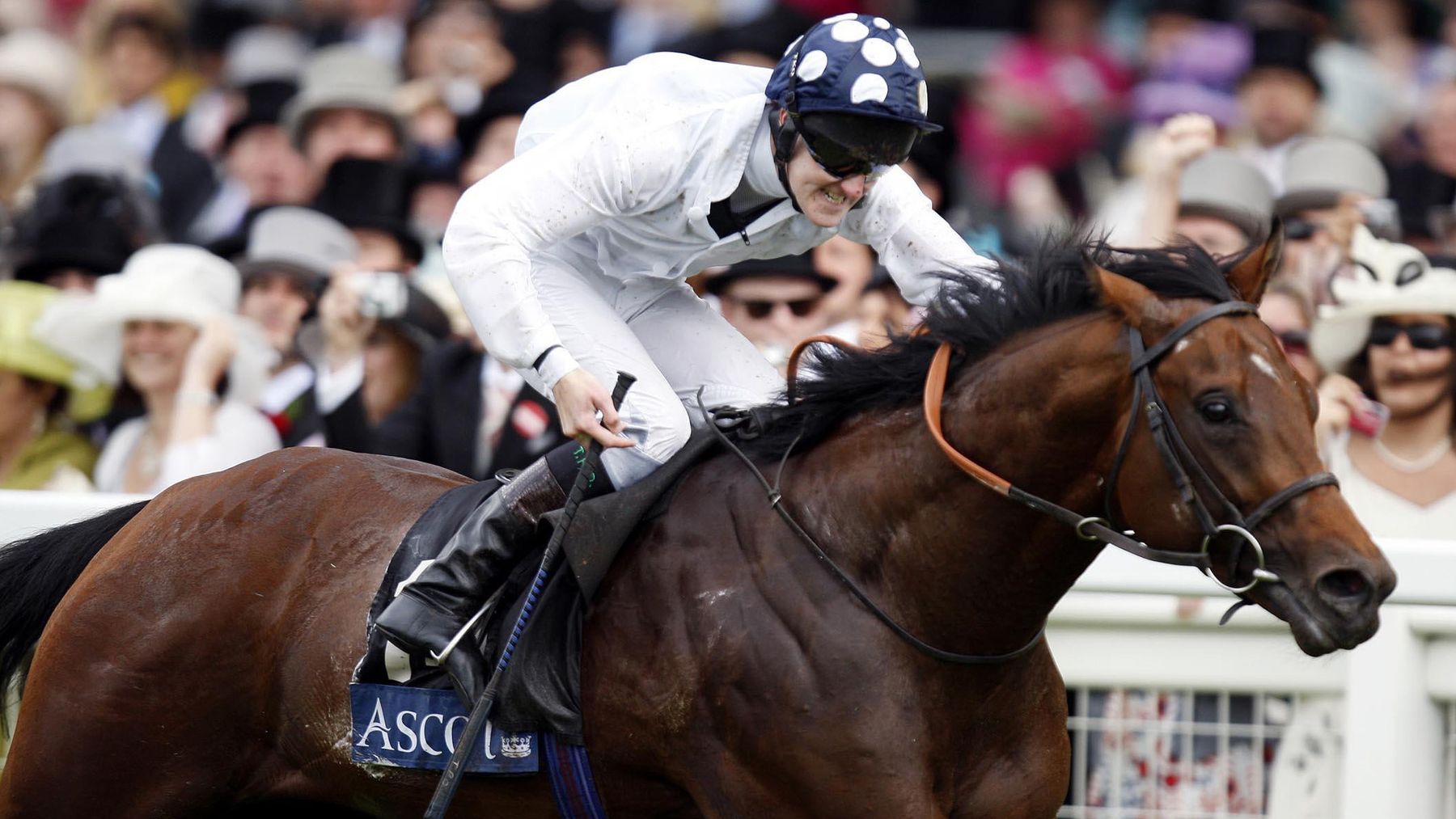 Dan Briden Two-Year-Old Guide: Harry Eustace