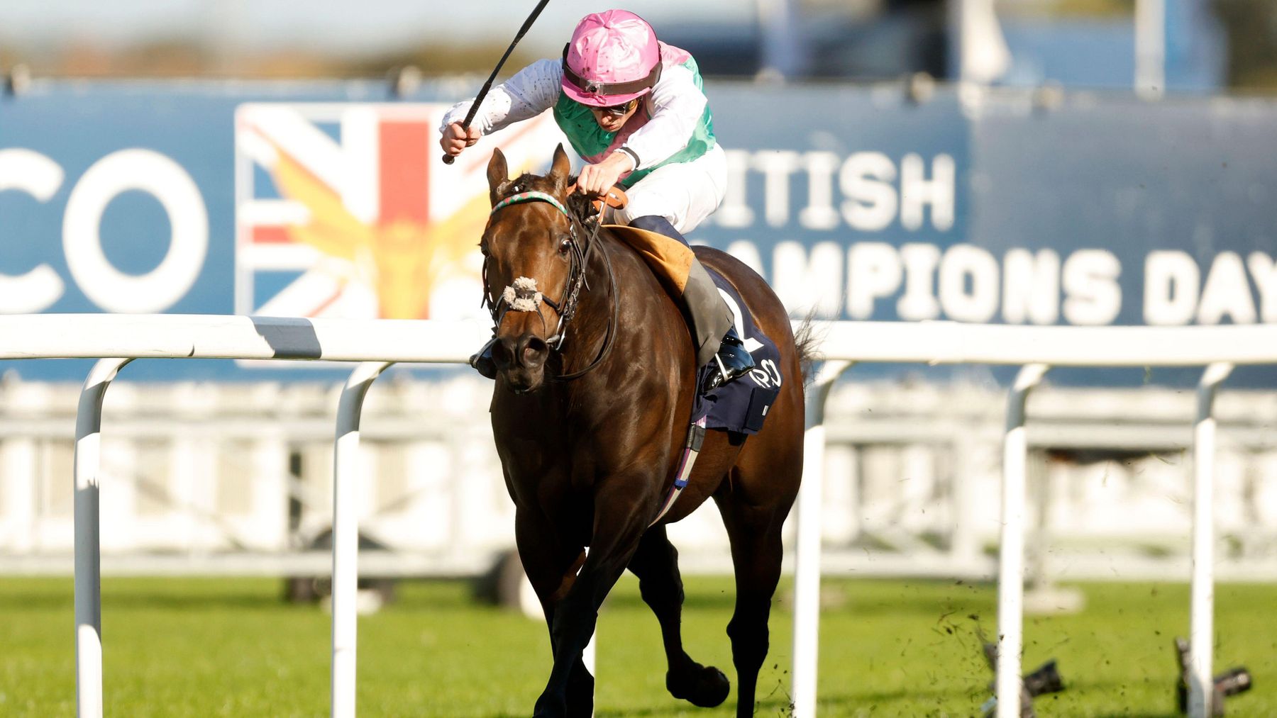 Andrew Balding turns to cheekpieces for Kalpana in Arc de Triomphe