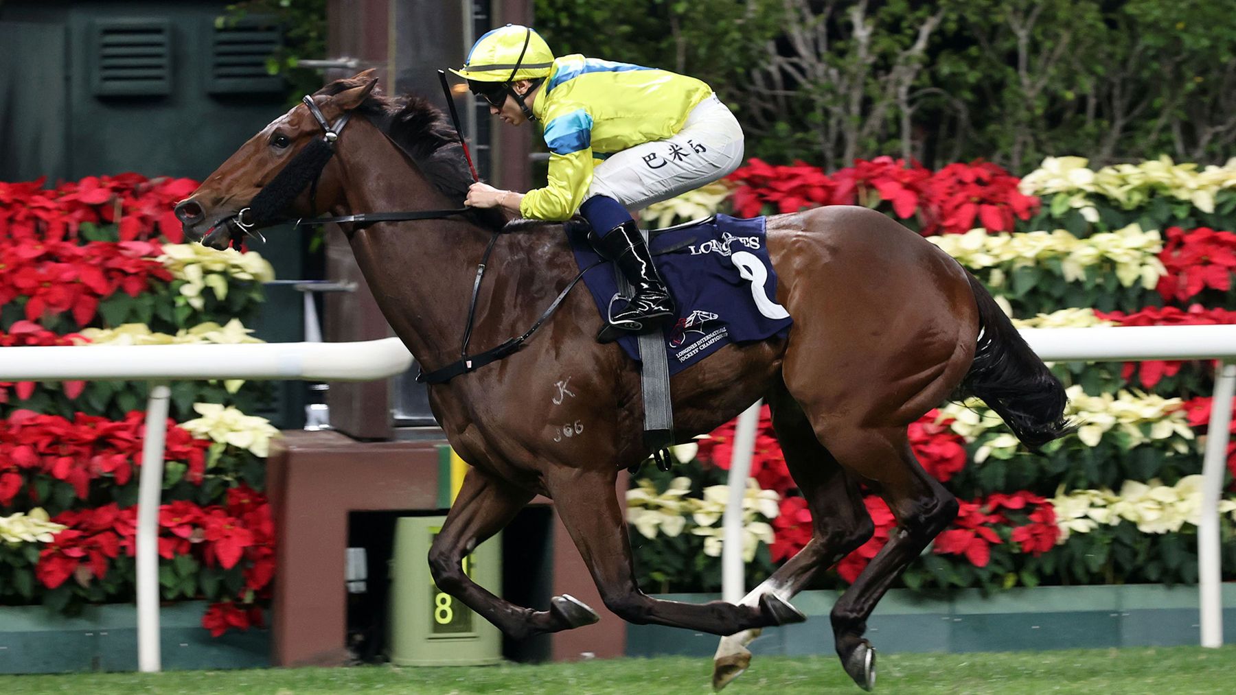 LONGINES International Jockeys' Championship review