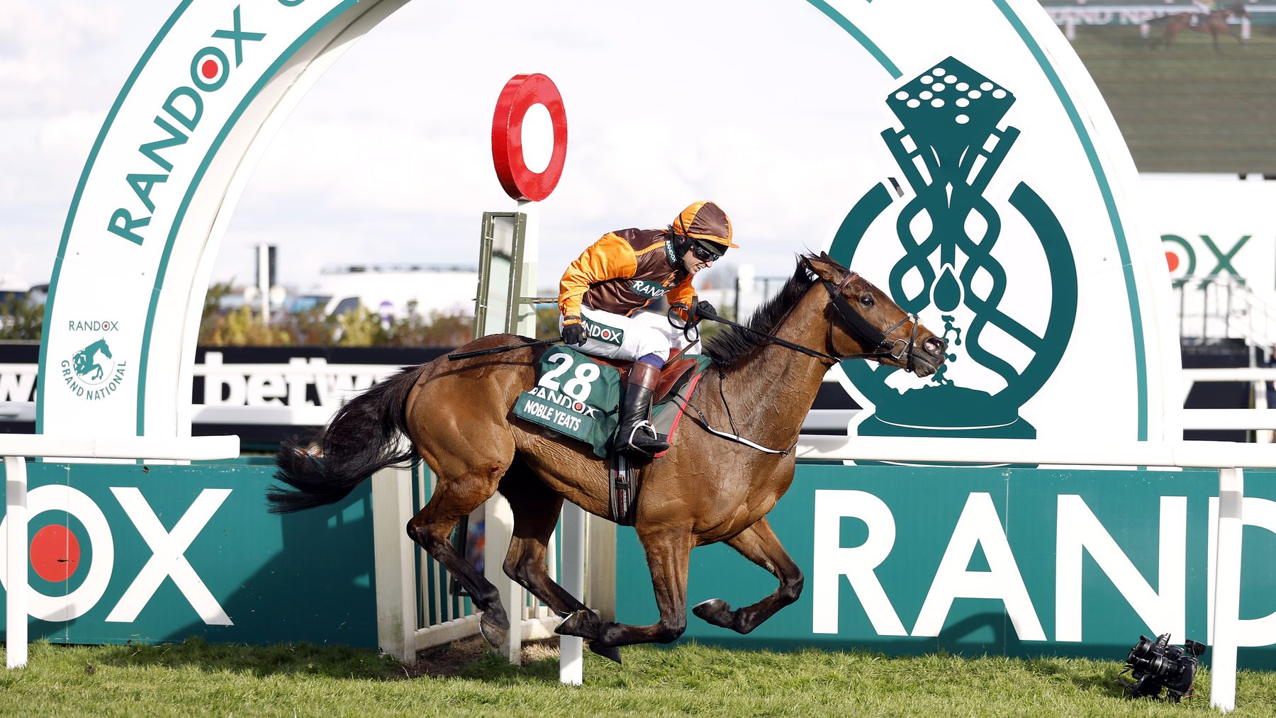 Grand National winner Noble Yeats dies of colic aged 11