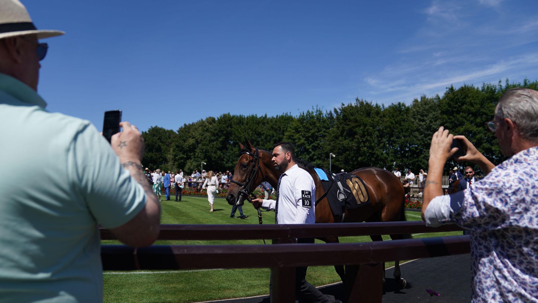 Horses to follow: Trackside Live team with horses for My Stable