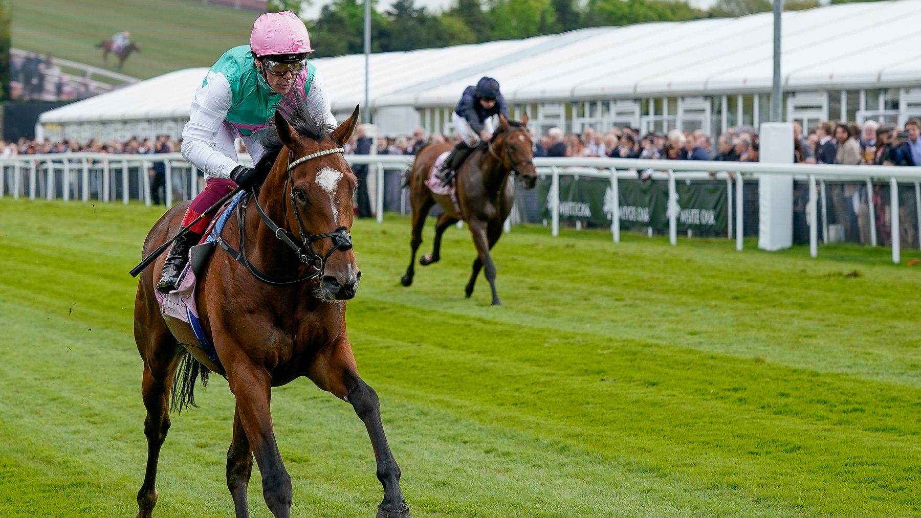 Auguste Rodin heads 14 contenders for Derby glory
