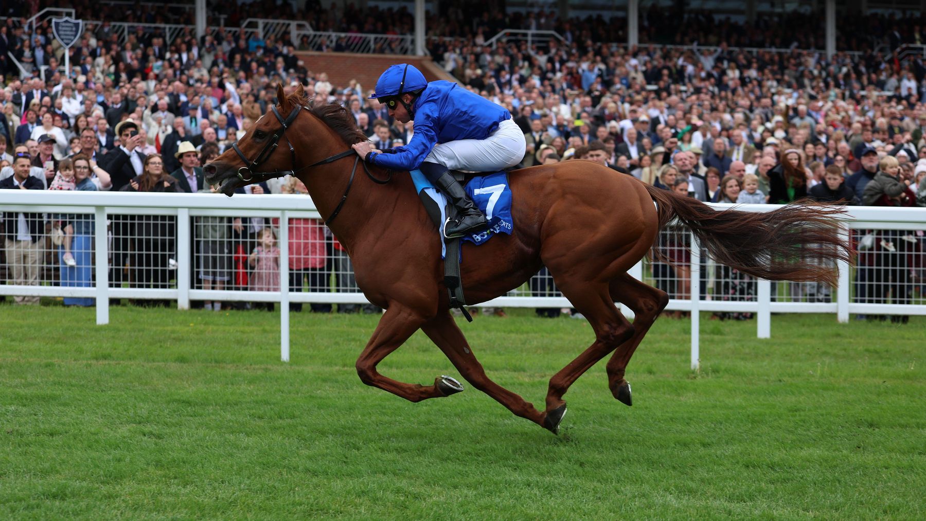 Live racing blog: Trackside Live updates from Lockinge day at Newbury