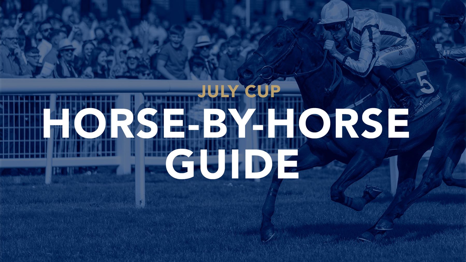 Who will win the Darley July Cup at Newmarket’s July Festival? Runner ...