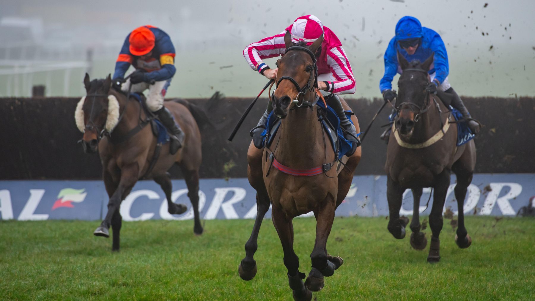 Coral Gold Cup preview: Horse-by-horse guide and tips