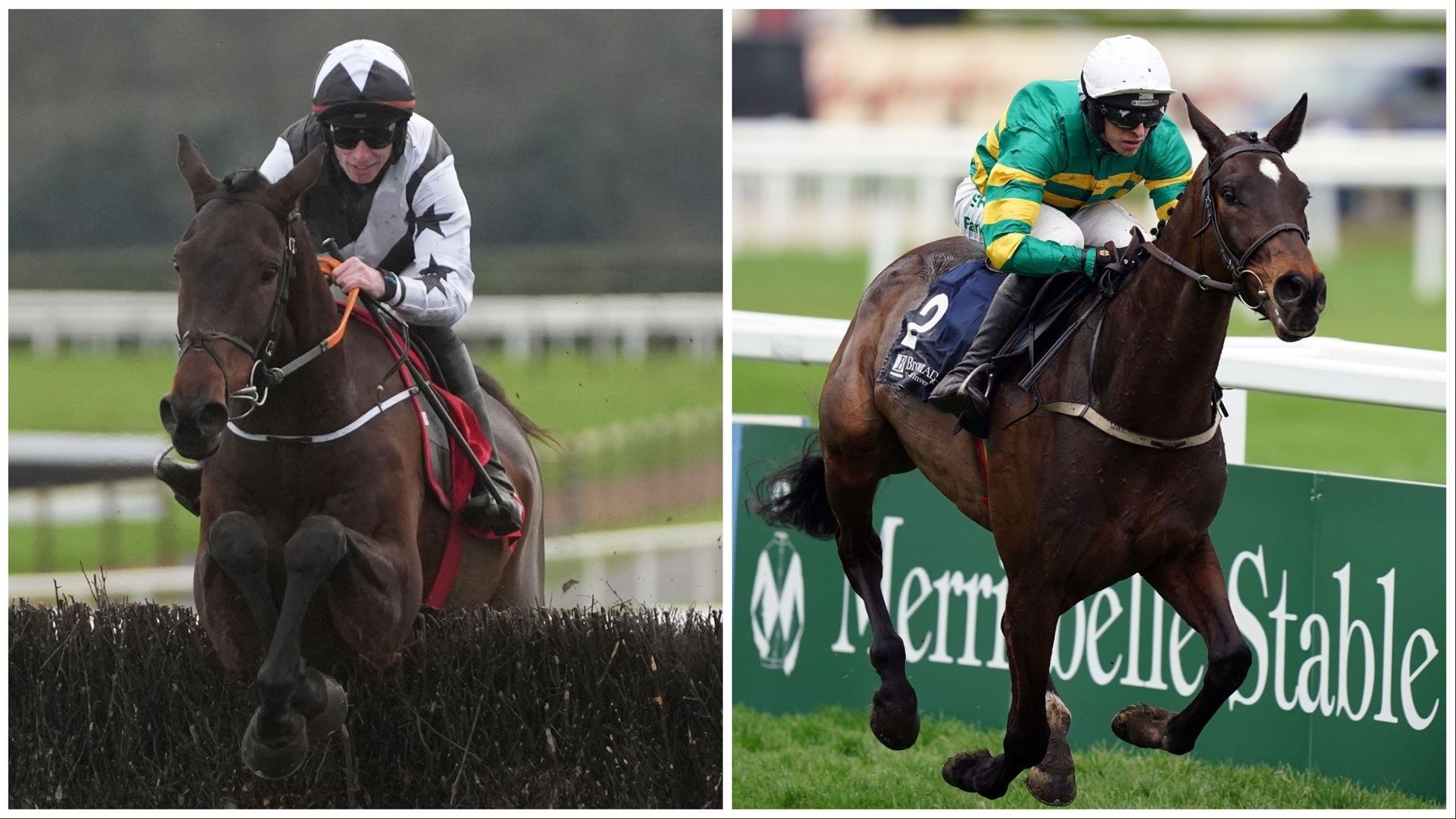 Ryanair Chase entries: Fact To File and Romeo Coolio among star names