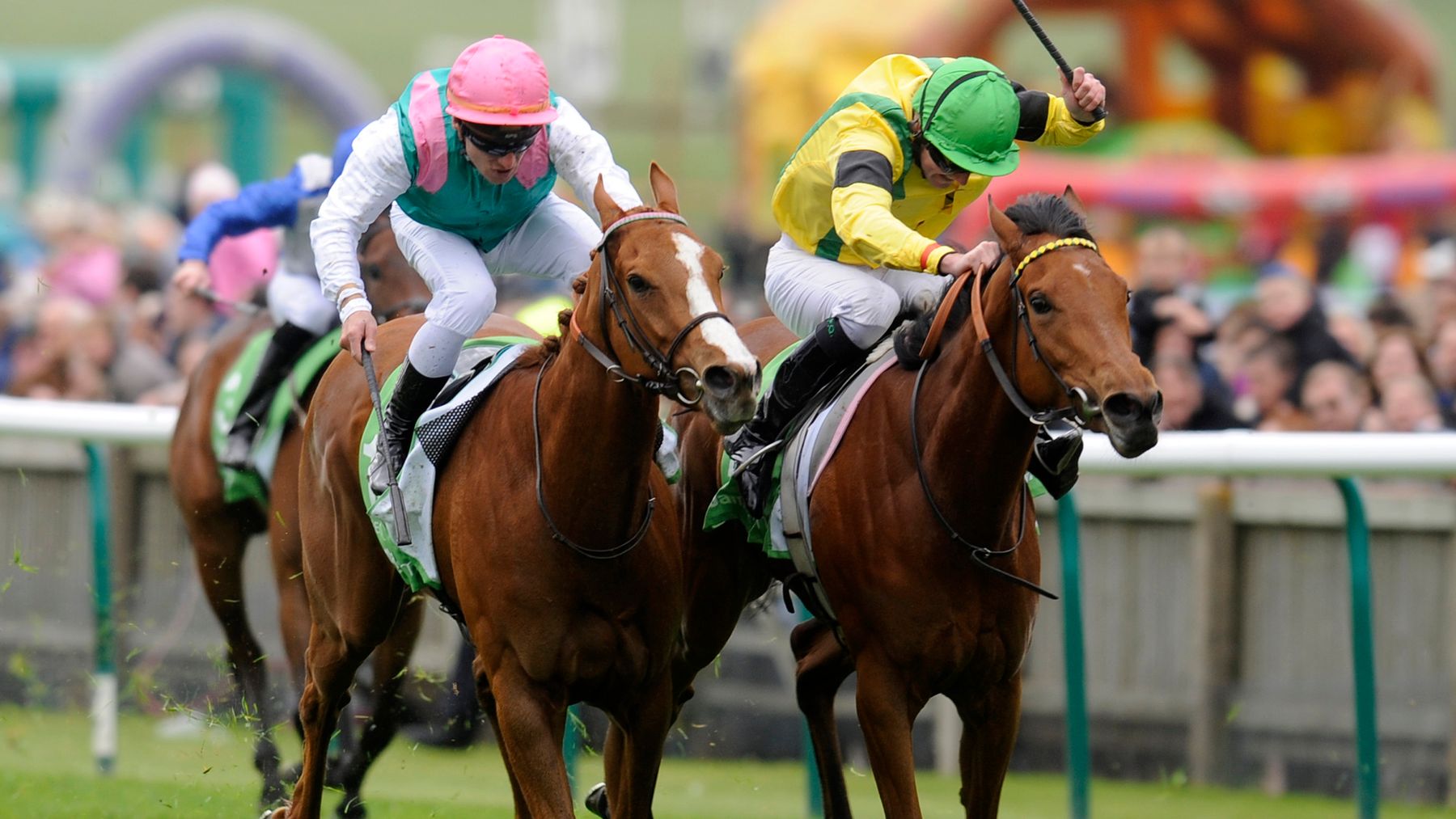 Dan Briden with two-year-olds to follow in the coming weeks