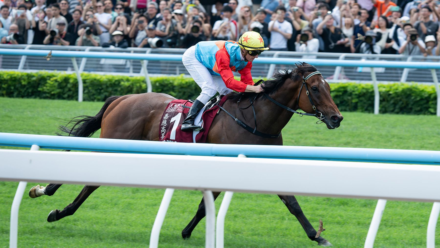 Free betting tips for Wednesday's card at Happy Valley | The Hong Kong File