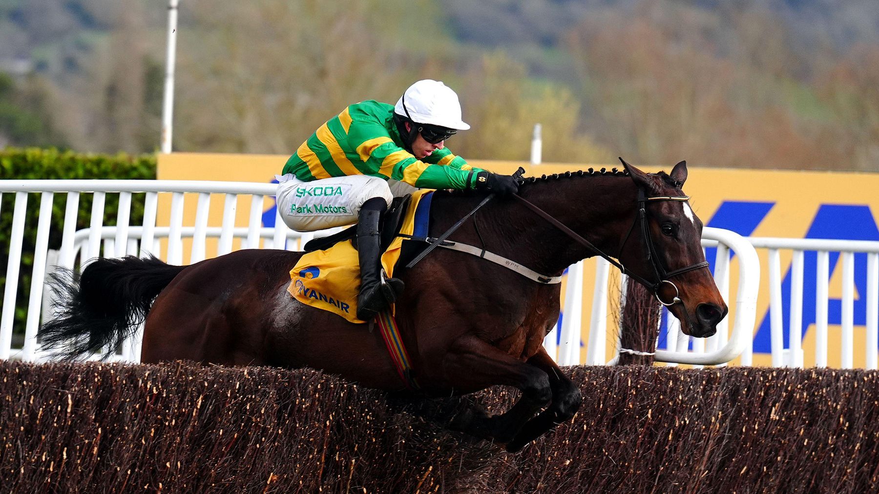 Ryanair Chase report: Fact To File far too good