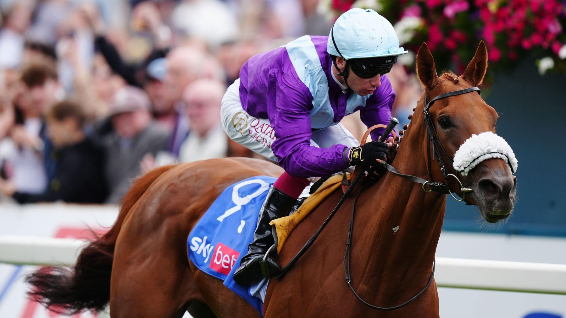World Pool Tips: Goodwood Thursday preview and selections