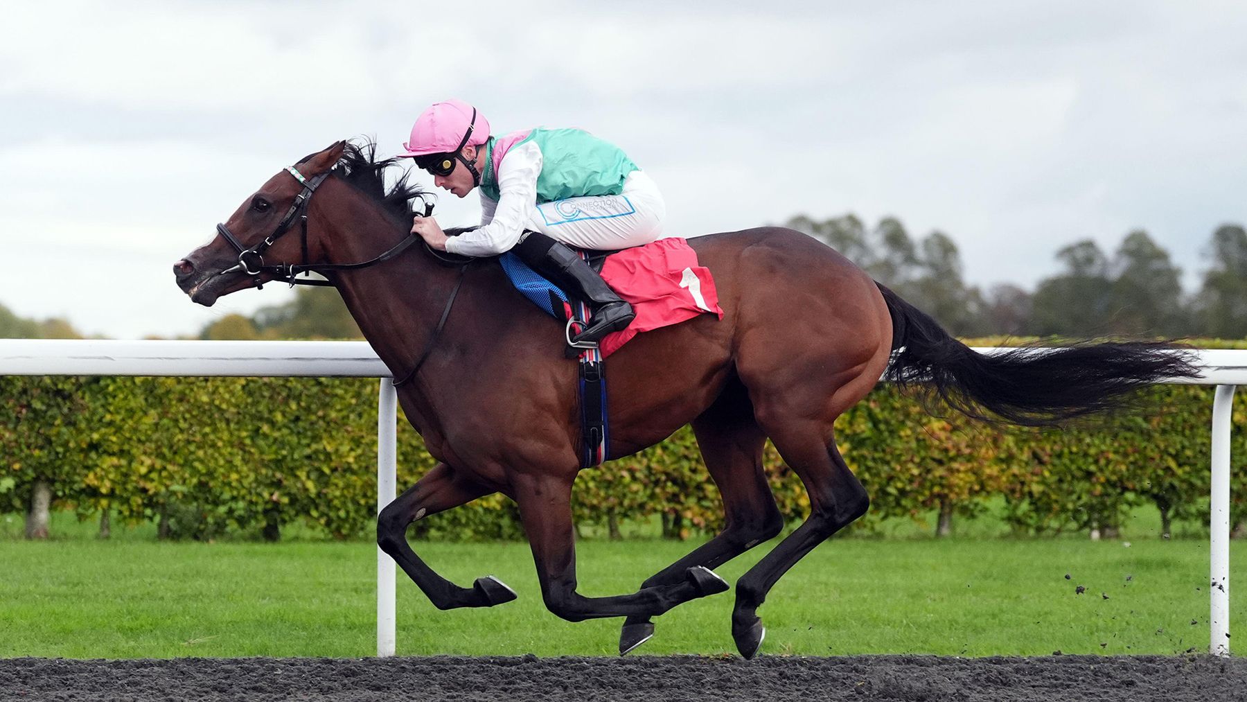 Fotos de culos grandes she is a youthful woman next door