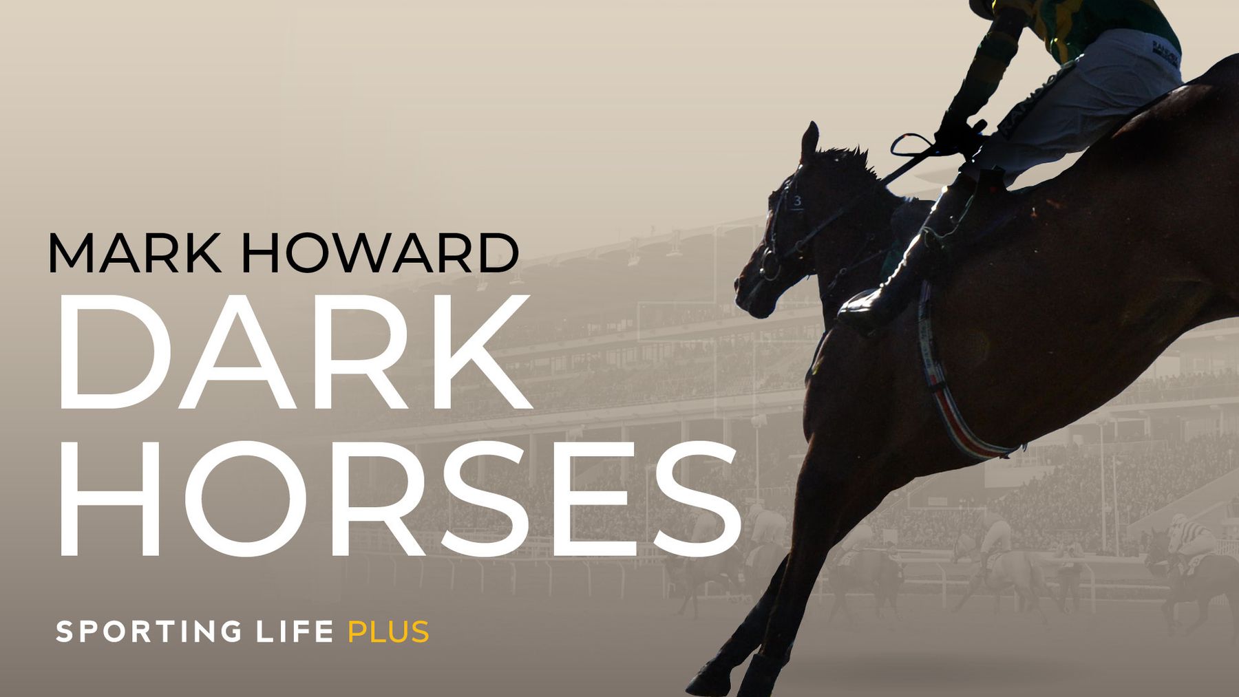 Cheltenham Festival Dark Horses: Mark Howard update