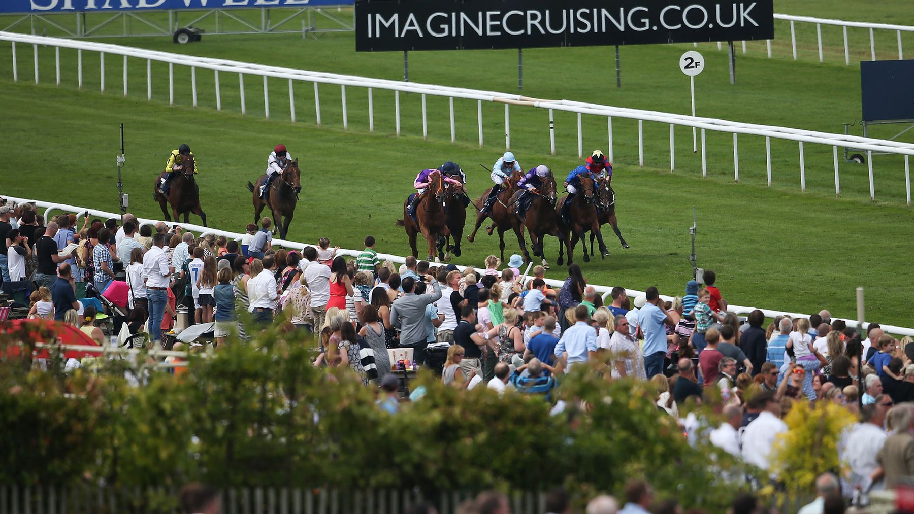 Newmarket: Course guide and key statistics for the July Festival