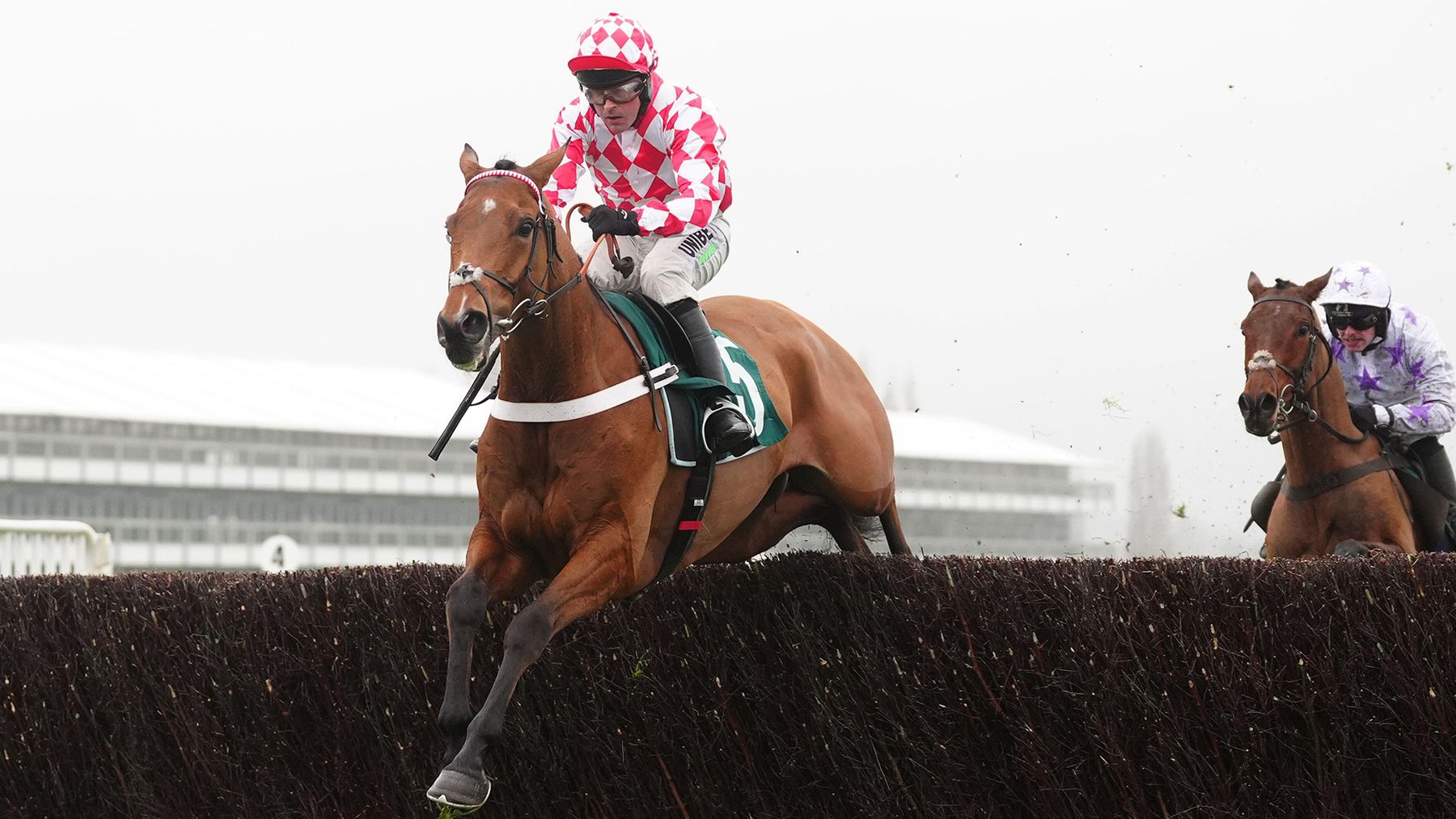 Delighted Jango Baie team to donate Gold Cup prize money to charity