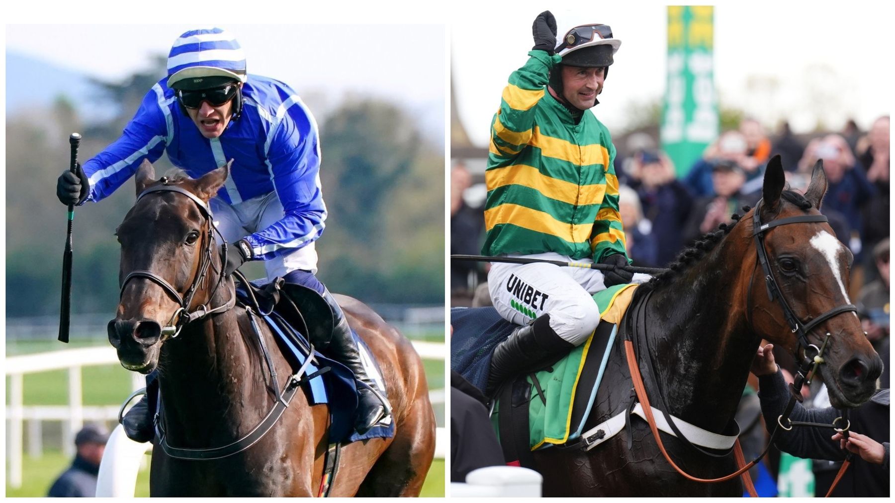 Jonbon and Energumene lead four Clarence contenders