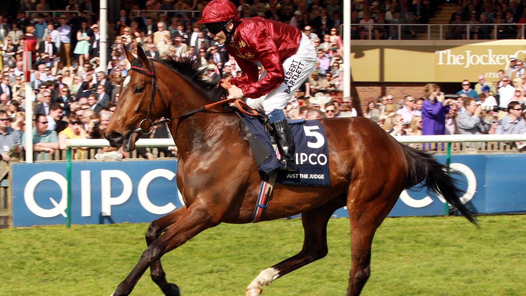 Dan Briden Two-Year-Old Guide: Joseph O'Brien