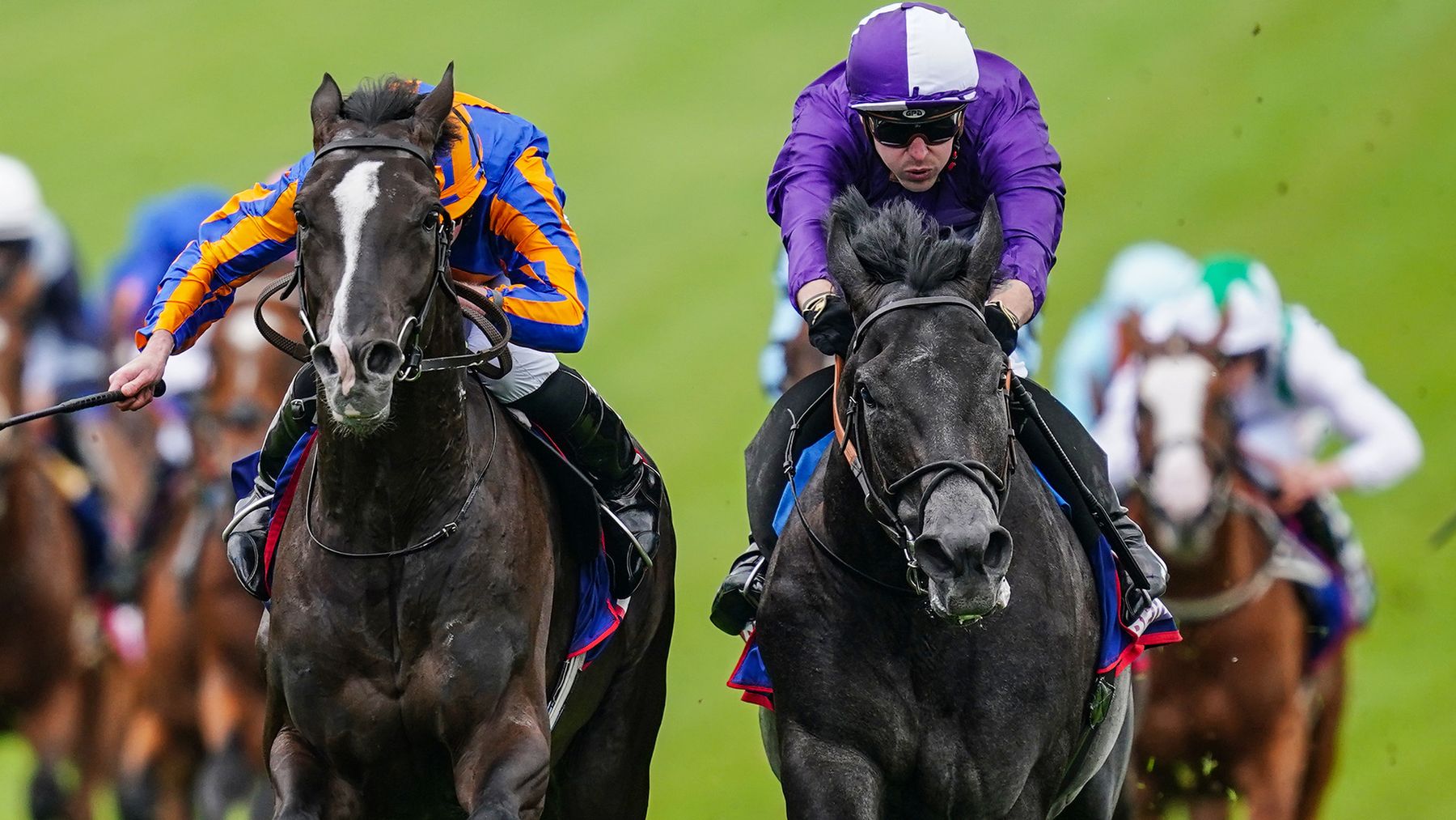 Derby reaction: Kia Joorabchian reacts to Amo Racing-owned King Of ...