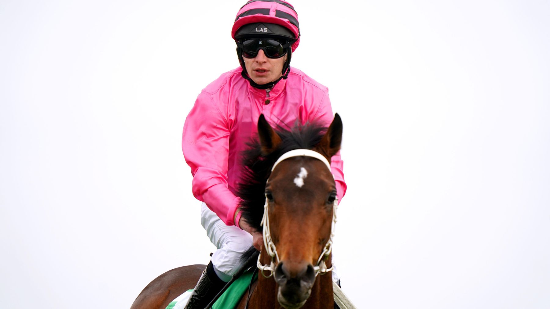 Jane Chapple-Hyam Stable Tour