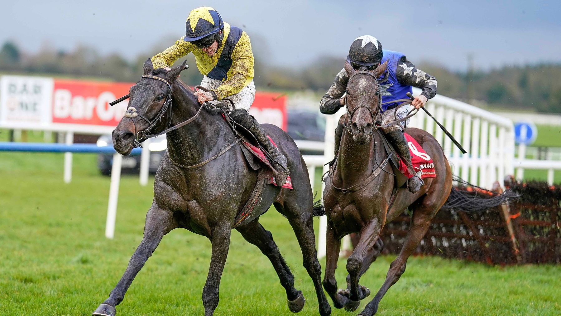 Royal Bond Novice Hurdle report, reaction and free video replay: Marine ...