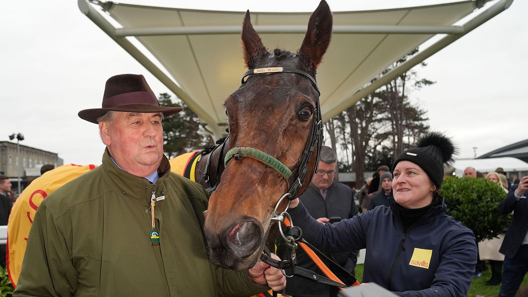 Paddy Power Irish Gold Cup preview: Affordale Fury ready for acid test