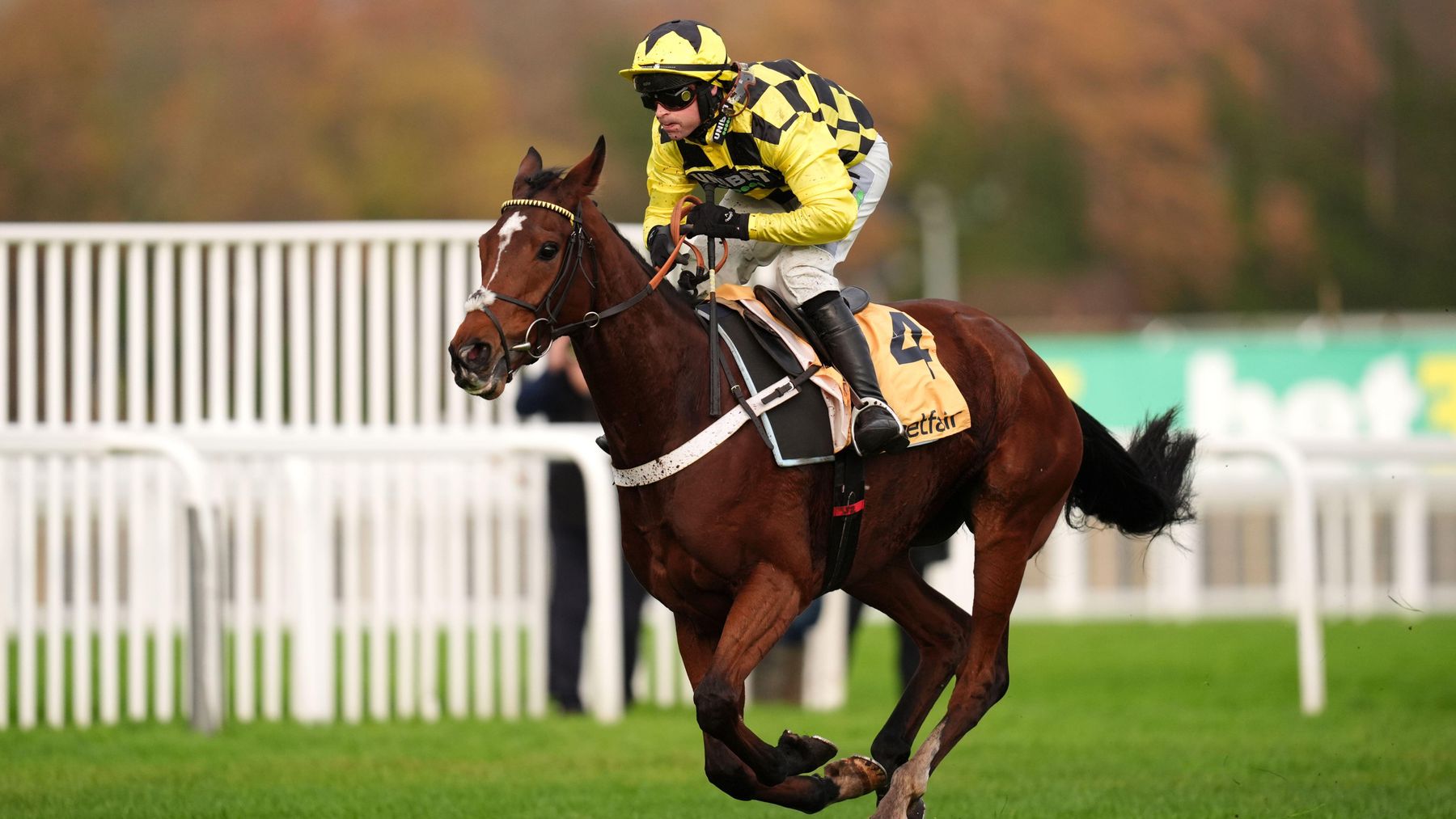 Betfair Henry VIII Novices' Chase report: Lulamba shines at Sandown