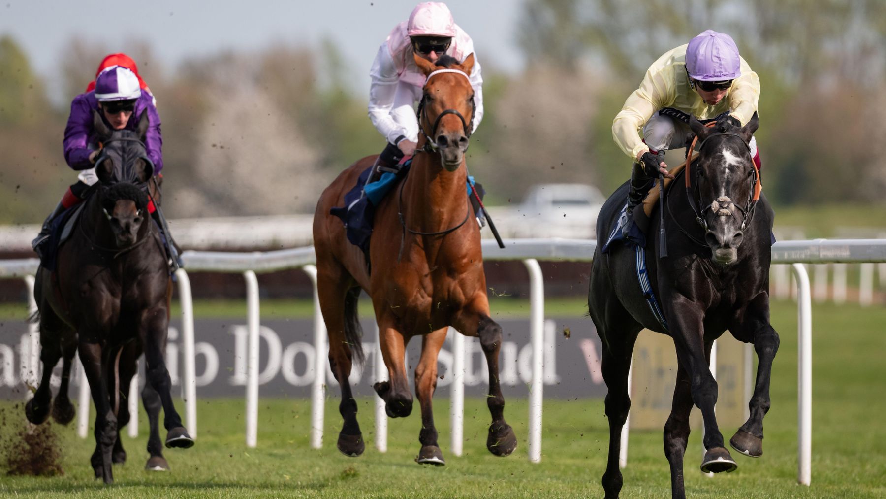 Live Racing blog: Newbury Saturday updates