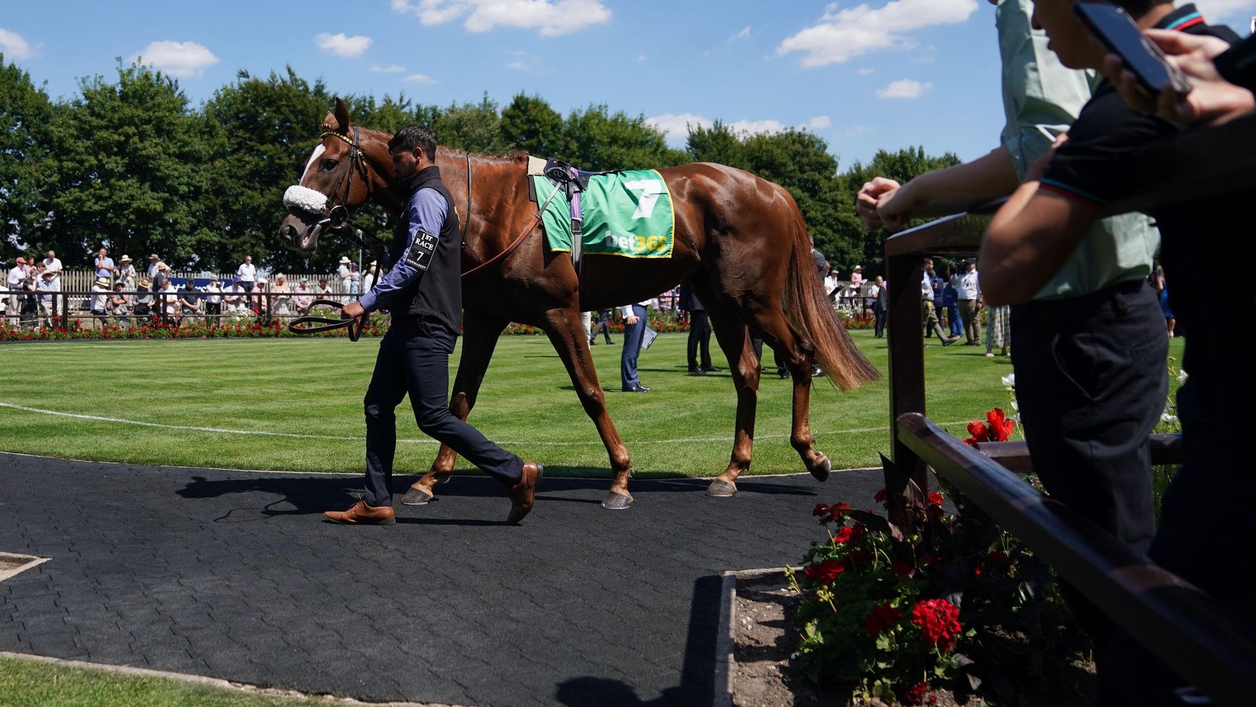 Horses to follow: Trackside Live team with horses for My Stable tracker
