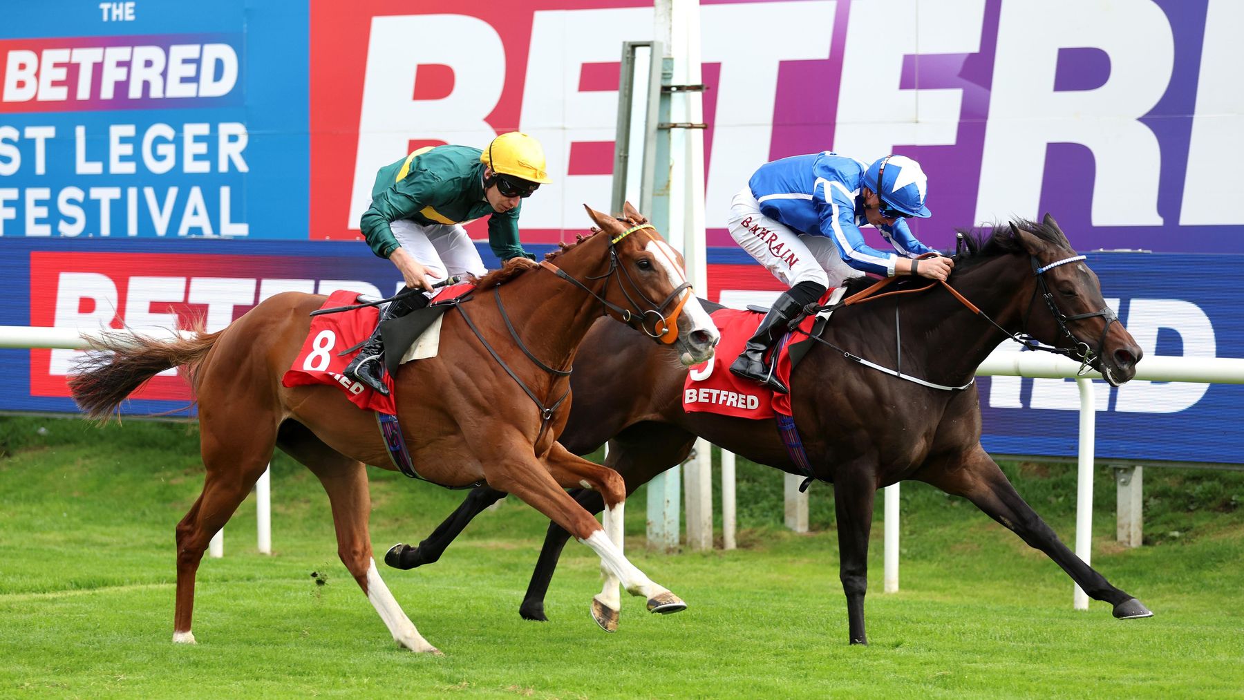 Betfred St Leger preview: David Ord looks ahead to the Doncaster Classic