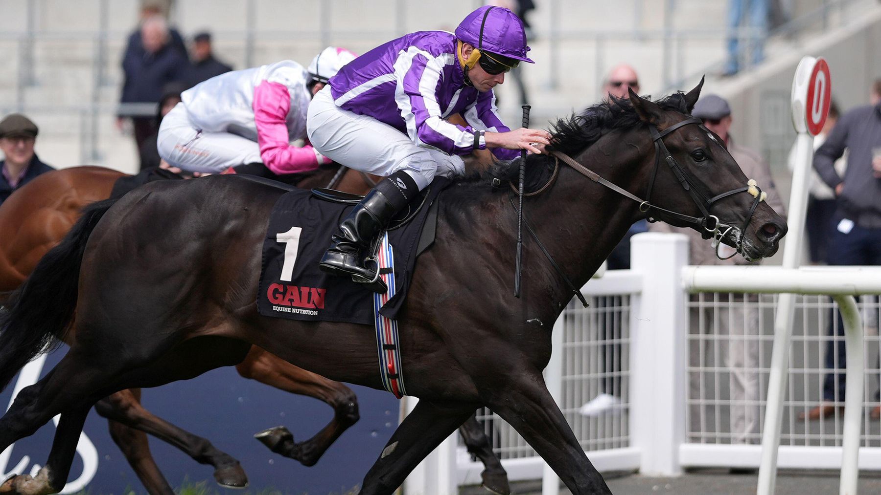 Aidan O'Brien retains faith in vanquished 2000 Guineas gamble Albert ...