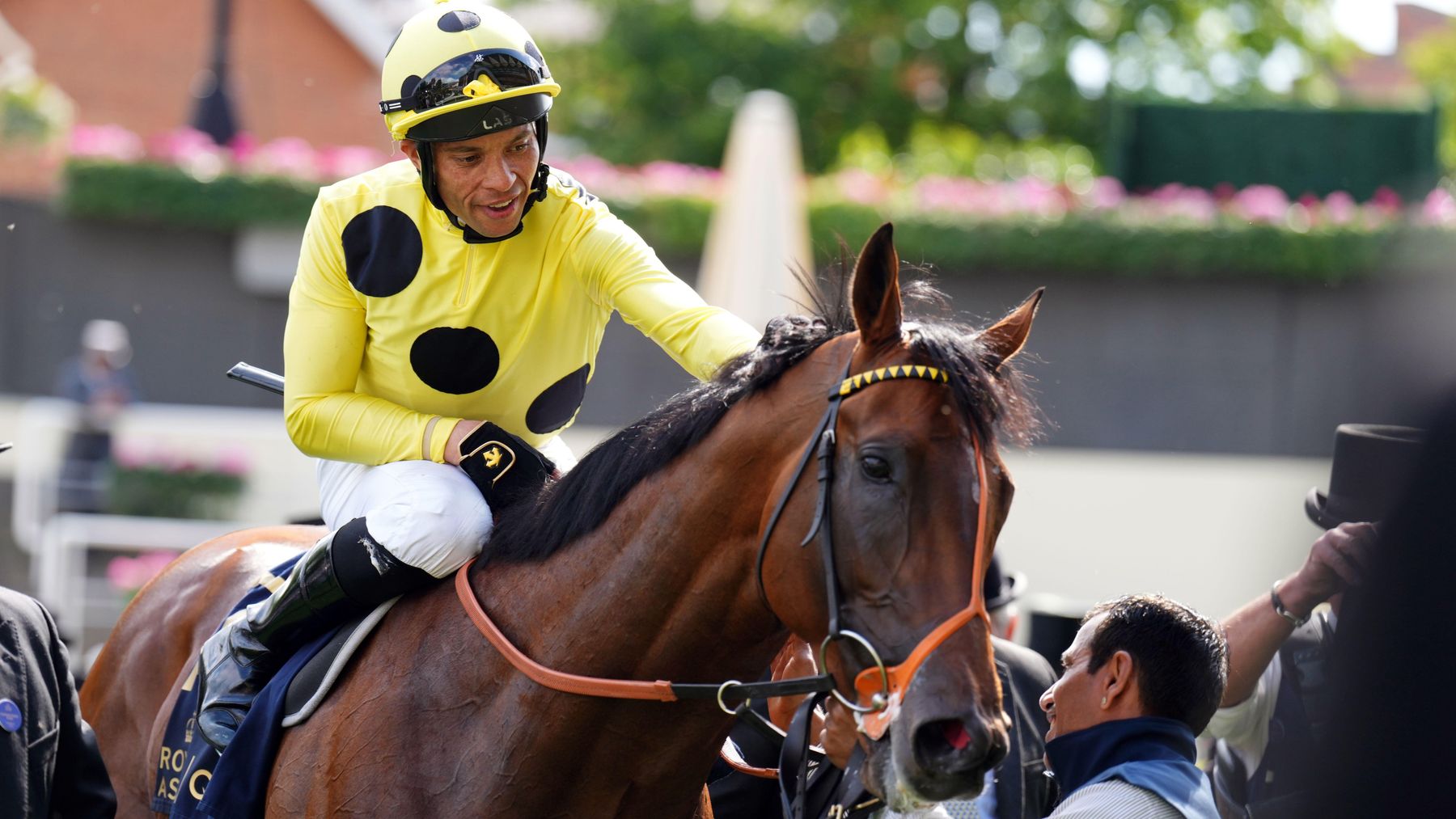 Jockey Sean Levey responds to Judicial Panel criticism after receiving ...