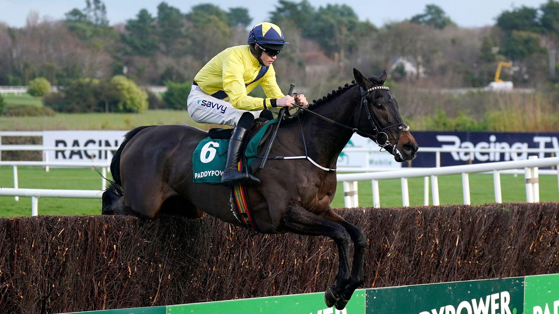 Dublin Racing Festival Leopardstown tips: Five to note away from the ...