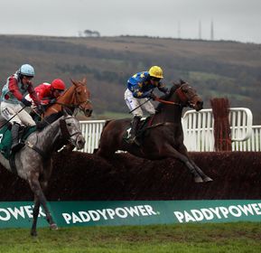 Timeform's Cheltenham course guide and key stats for The November Meeting
