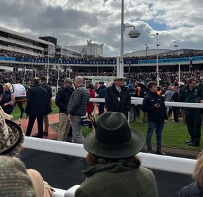 App users: Please use Sporting Life website for race replays due to ...