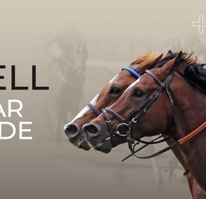Dan Briden Two-Year-Old Guide: Ed Bethell