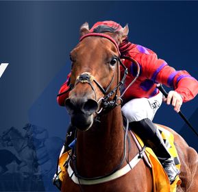 Timeform Daily View | Tuesday preview and tips