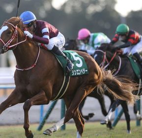 Race In Focus: Royal Bahrain Irish Champion Stakes tips and analysis ...