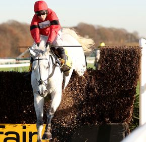 Grey Dawning among key weekend entries at Kelso